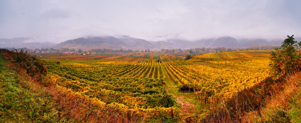 Conthey 2022 - ESTISSIMO voyages